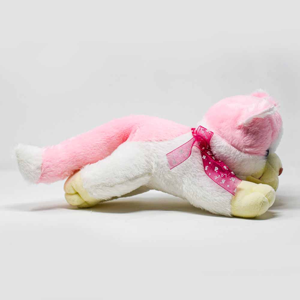 SKEE CAT P 013 – Sellet